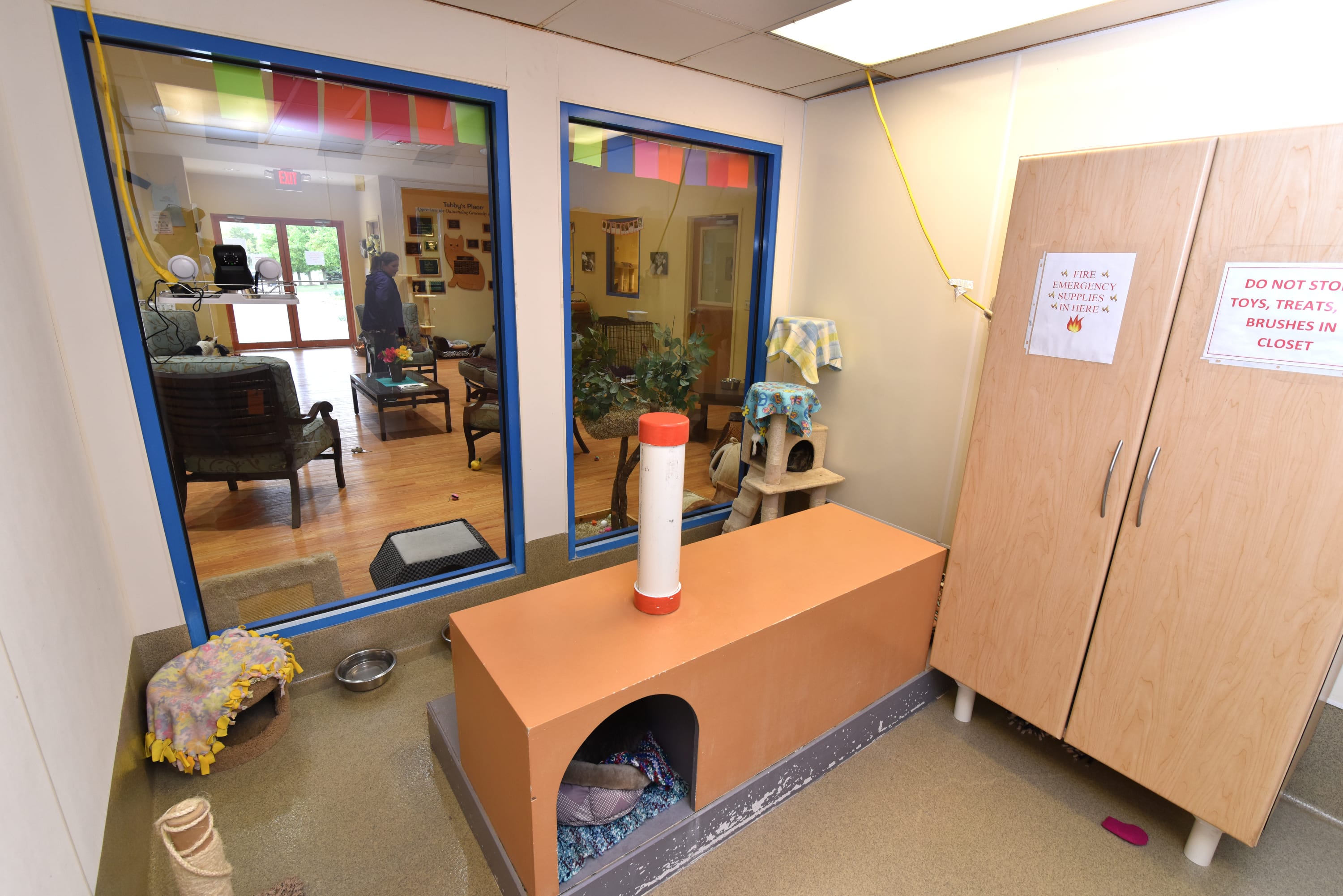 Special Needs Suite – Tabby's Place