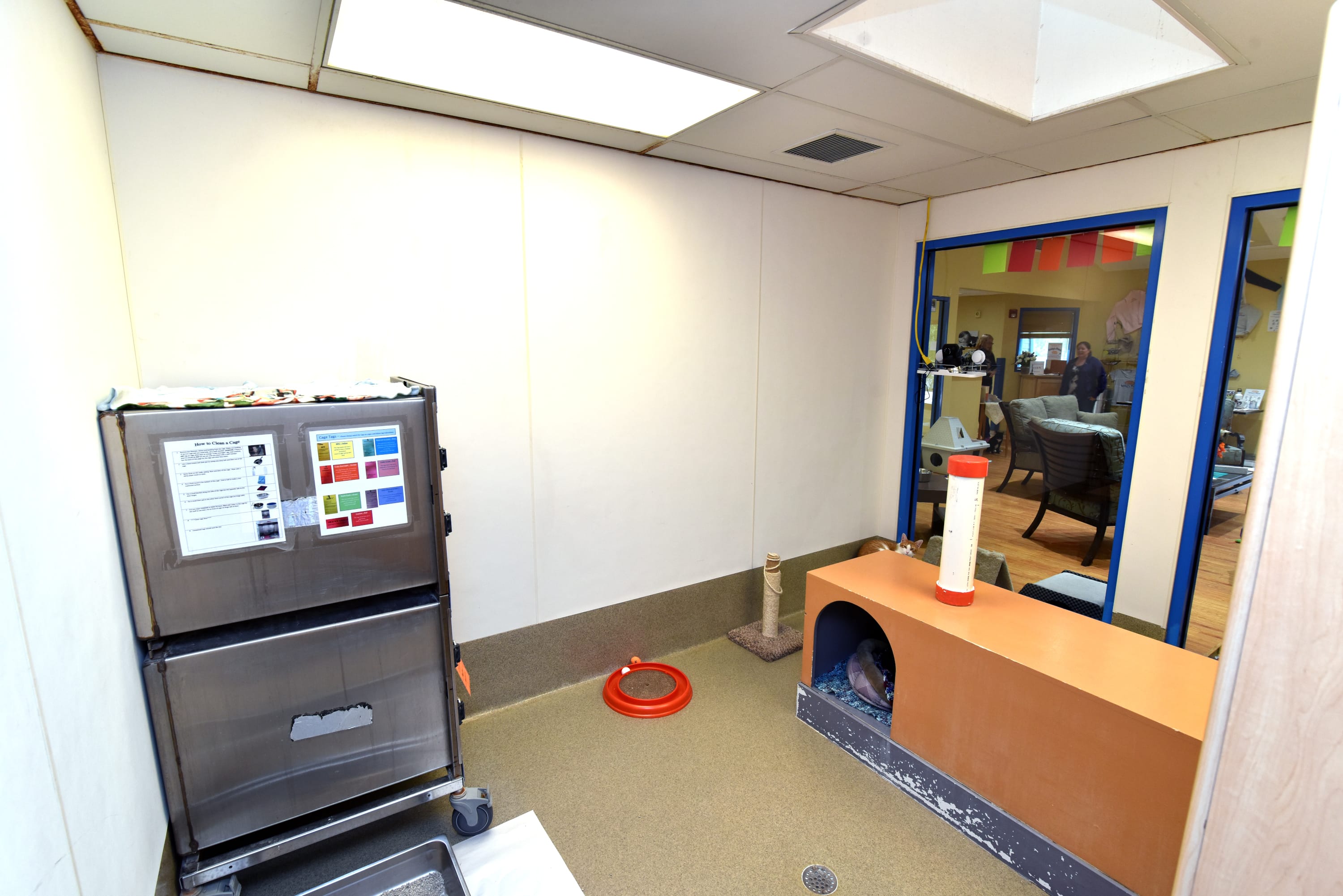 Special Needs Suite – Tabby's Place