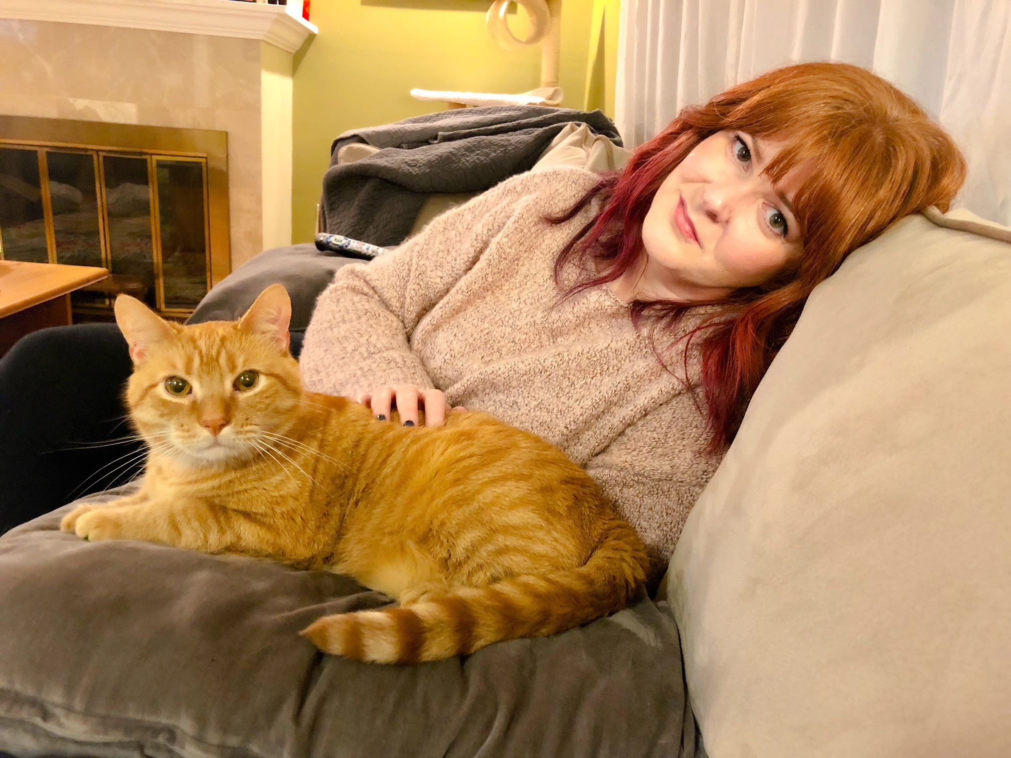 Tara Talk guest post: The one with the wonderful terrible news – Tabby ...